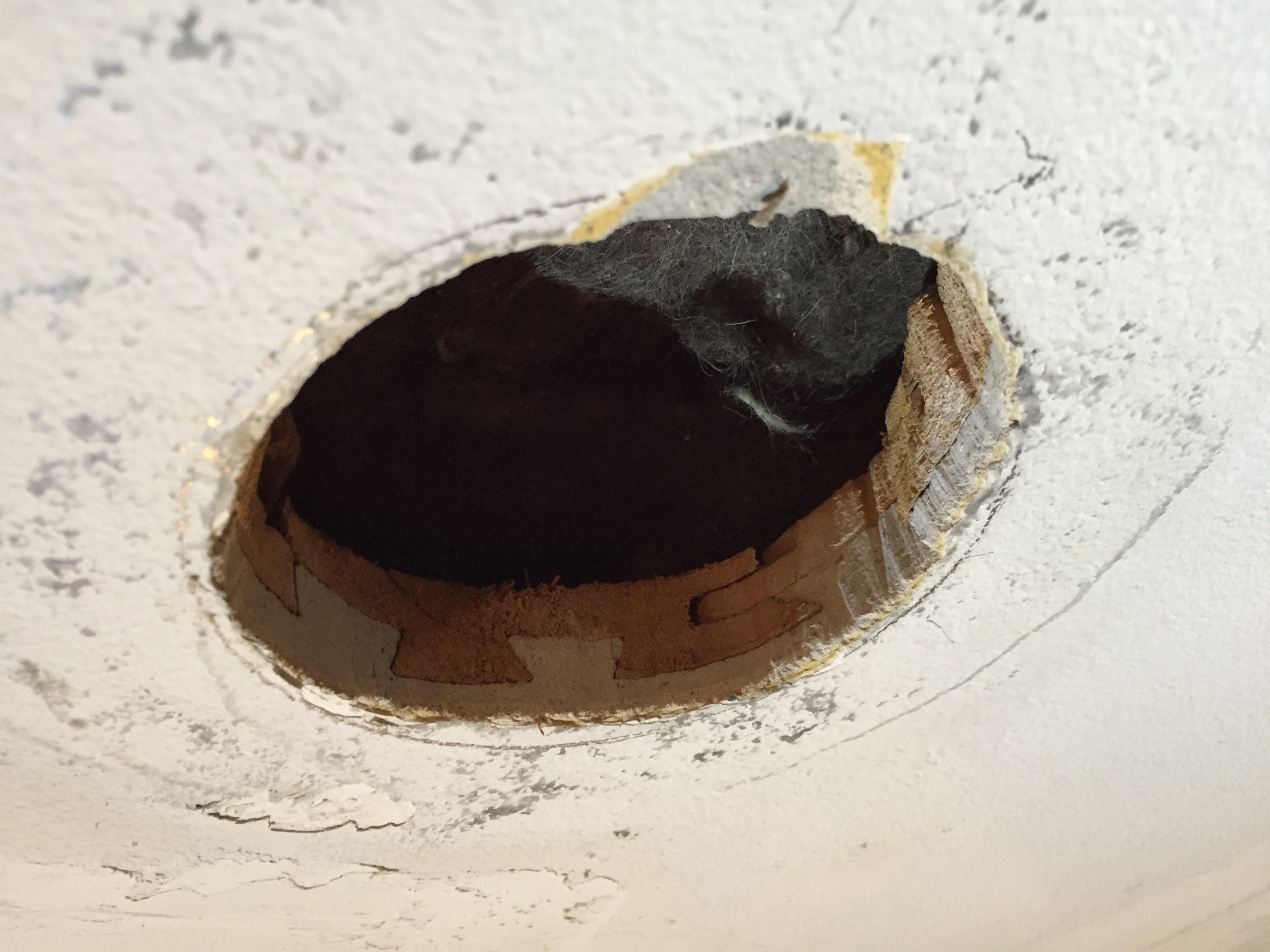 “How to build a warm, strong and dry house” | The Elizabeth Murphy House